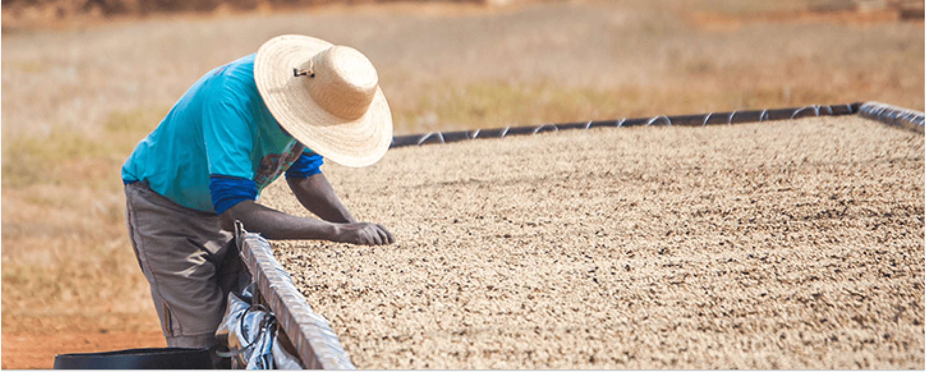 Coffee Processing Methods Explained | Equator Coffees