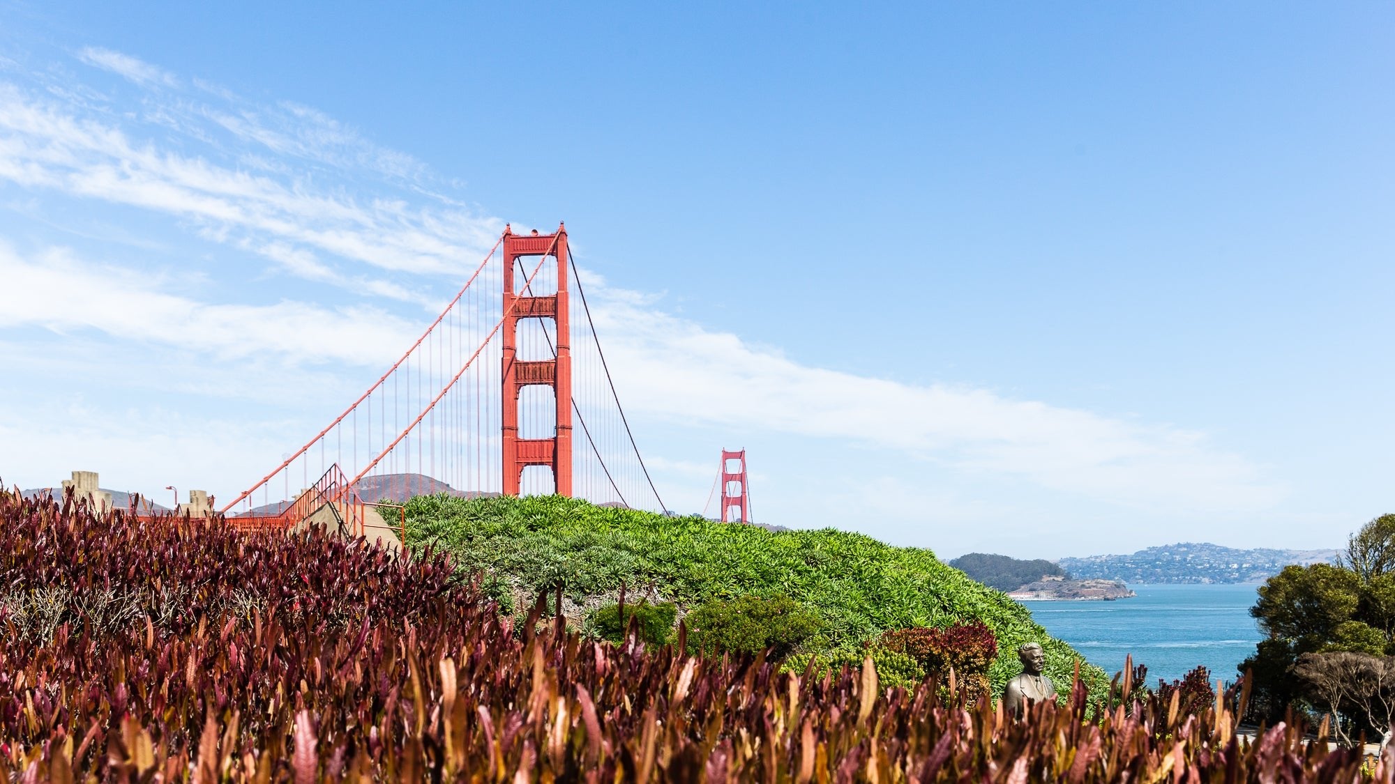 San Francisco Presidio Field Guide | Equator Coffees